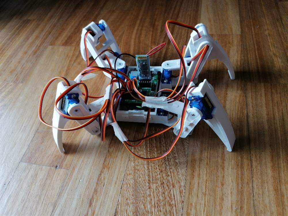 Robot Ragno quadrupede - Radiocomandato - Pescara